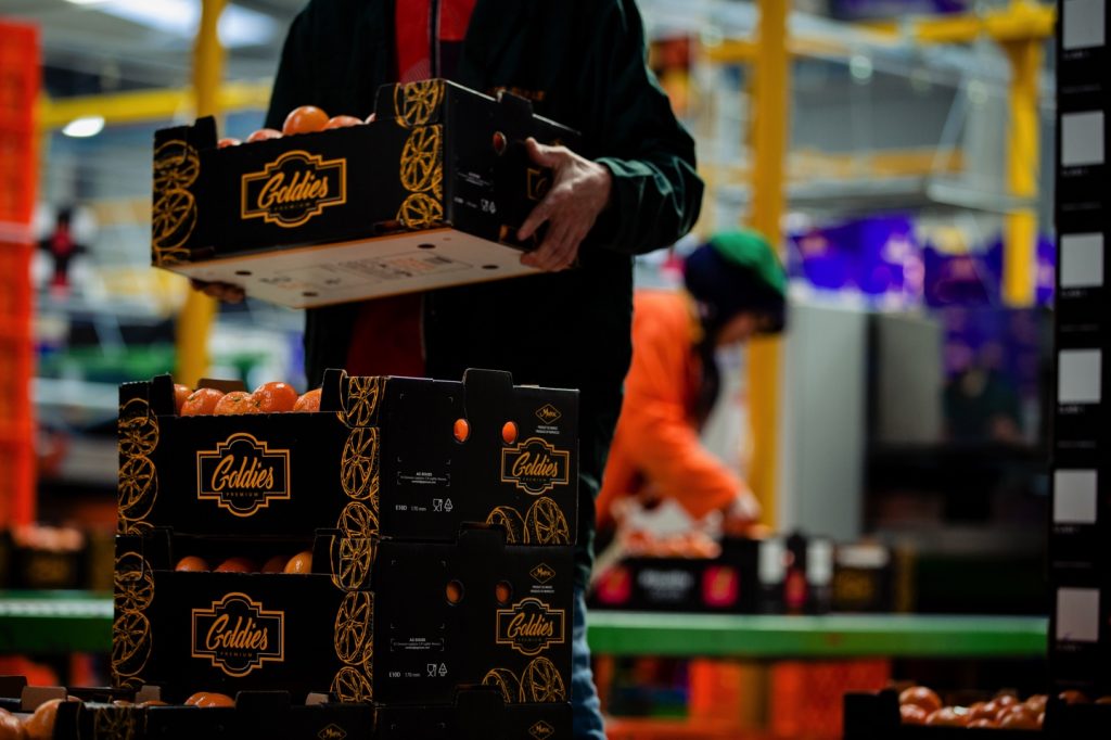 RedPack - Group - Fruits et légumes - Tomates